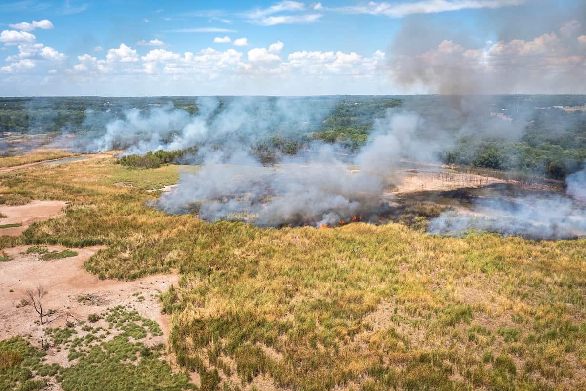 Blake Hortenstine Discusses Wildfire Mitigation with the Dallas Morning ...
